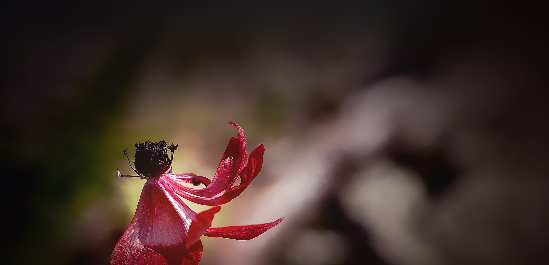 Possibility Sphere – Church & Religion WordPress Theme